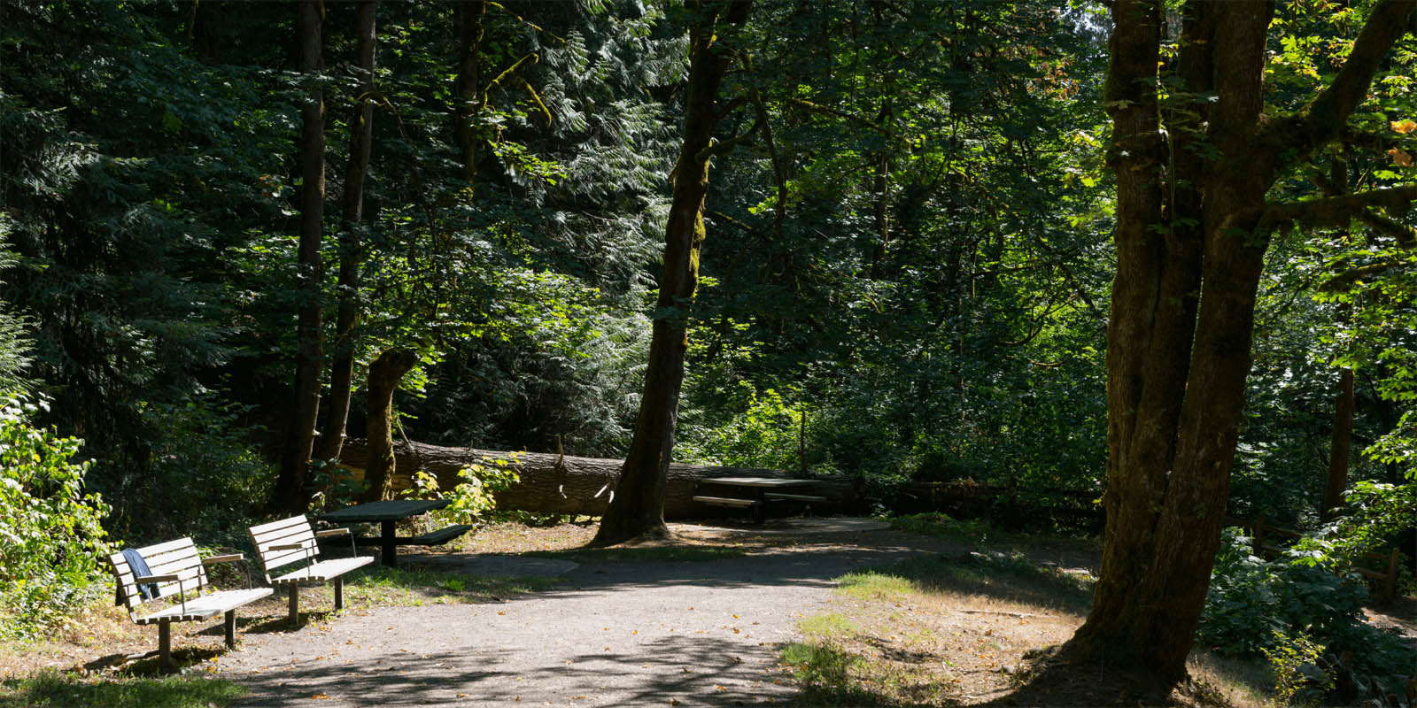 Collins View Real Estate - Living Room Realty