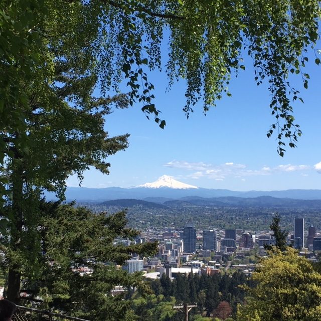 Best view in town.... - Living Room Realty