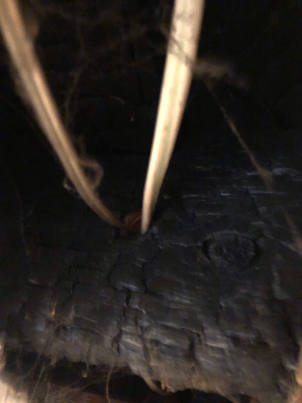 WHERE THERE IS SMOKE THERE IS FIRE - Living Room Realty