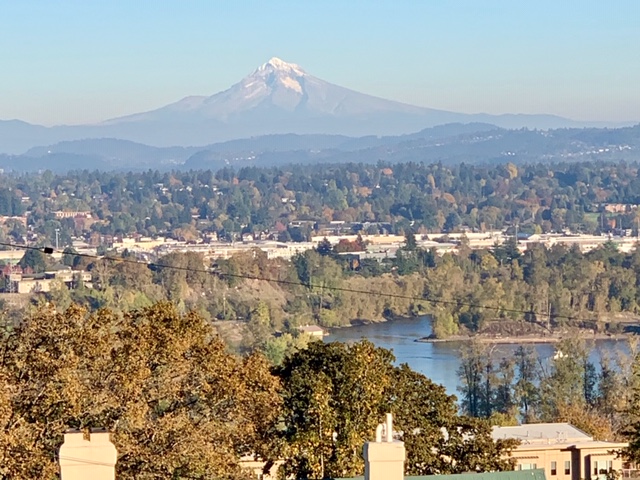 DC to PDX Times Two! - Living Room Realty