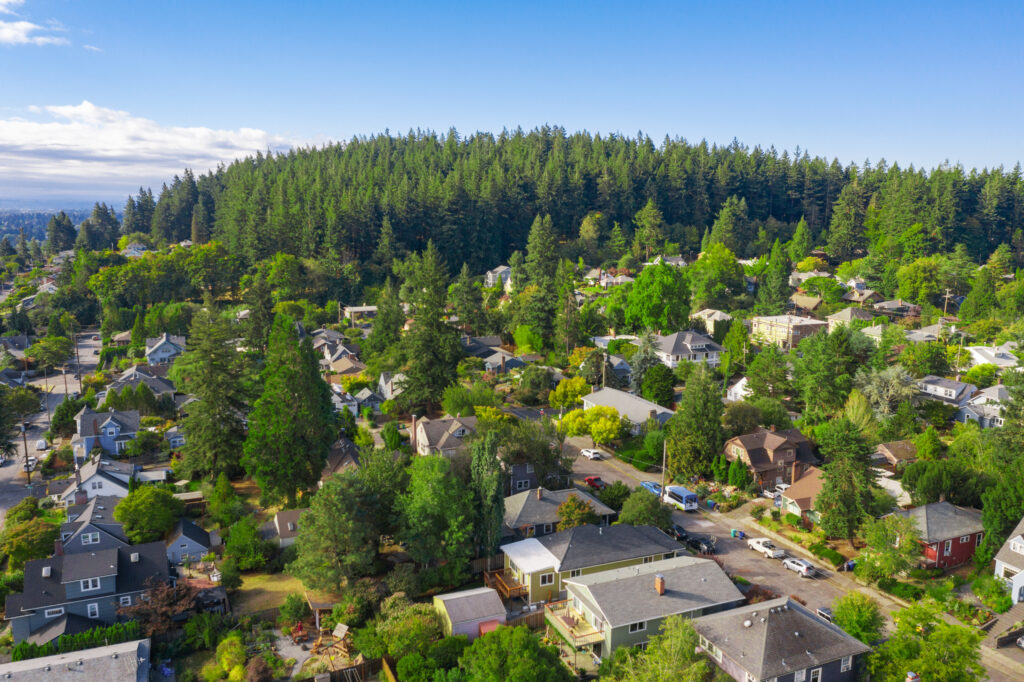 OPEN THE DOOR TO MT TABOR! - Living Room Realty