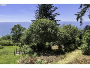 Living Room Realty - Portland Real Estate