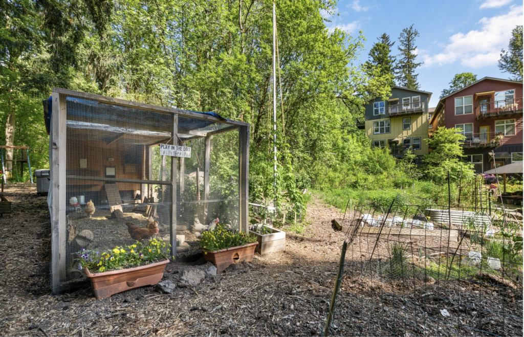 Pros/Cons of Chickens in Portland - Living Room Realty