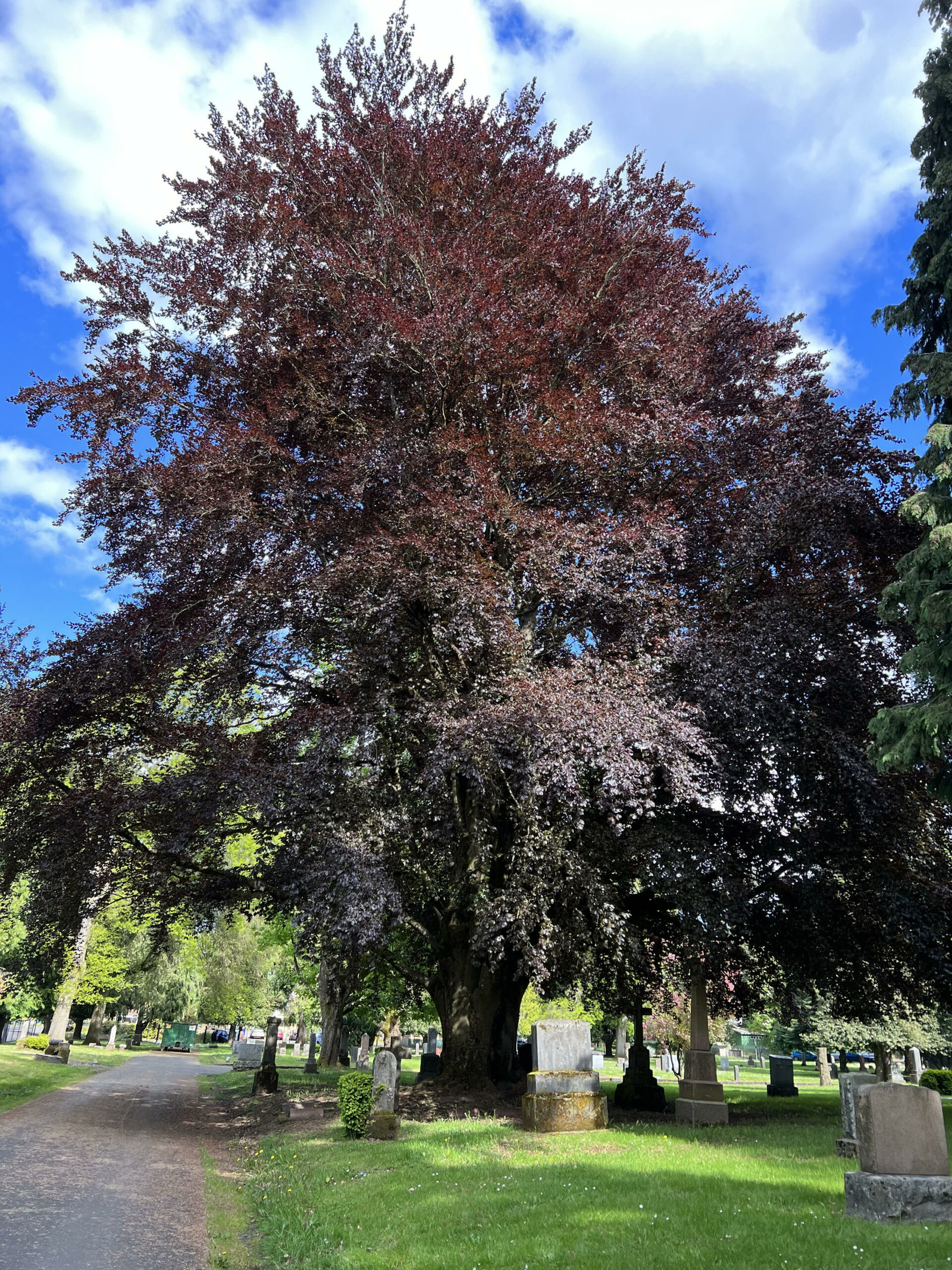 Buckman Neighborhood Guide - Food, Drink, Nature and History - Living ...